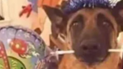 Baller Assail - Psyker Build for Darktide - Darktide WH40k