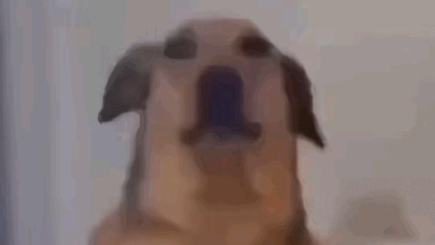 Sy Build - Veteran Build for Darktide - Darktide WH40k